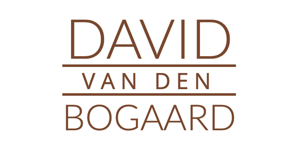 David van den Bogaard | Gitarist